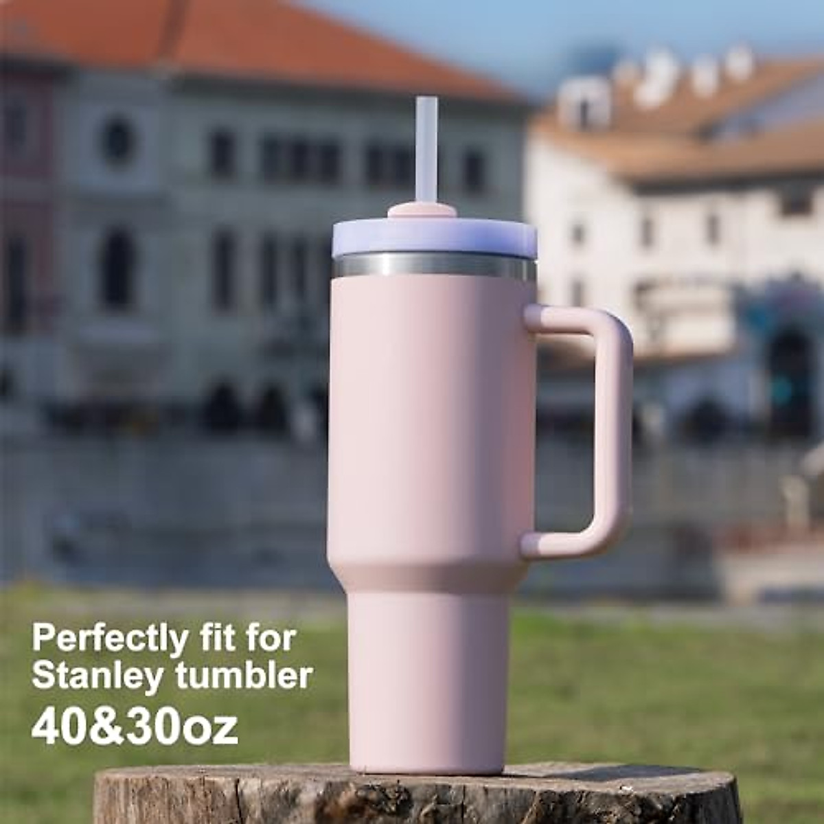 CXLL 6 Pcs Replacement Straw for Stanley Adventure Quencher 40 oz 30 oz Cup Tumbler,Straws with Cleaning Brush for Stanley Accessories