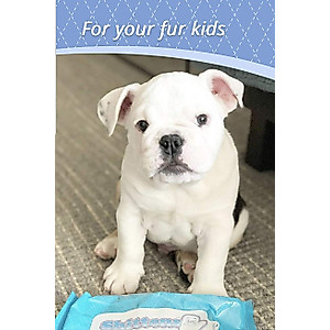 Shittens Disposable Mitten-Shaped Wet Wipes, 10 Count…