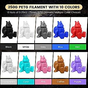 2500g 3D Printer Filament Bundle Multicolor, SUNLU PETG Filament&SUNLU PLA Plus Filament, 10 Pack+8 Pack