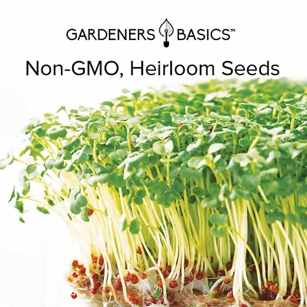 Broccoli Seeds for Sprouting Kit and Microgreens Non-GMO, Heirloom Bulk 1 Pound Resealable Sprouts Bag by Gardeners Basics