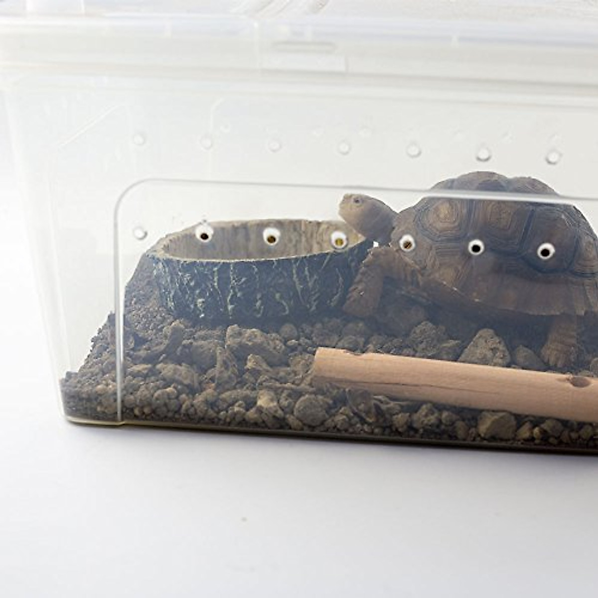 OMEM Reptile Natural Bowl Food and Water Dish Resin Made (Tree bark)