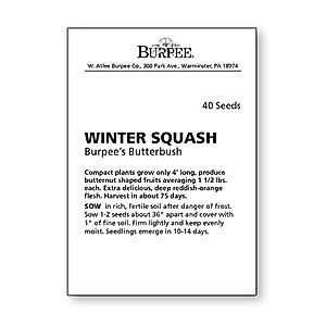 Burpee Butterbush Winter Squash Seeds 40 seeds
