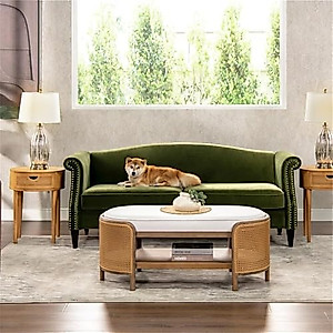 Jennifer Taylor Home Elaine 77" Camel Back Small Space Sofa Olive Green Performance Velvet