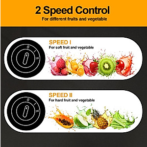 Panana Centrifugal Juicer Extractor with Wide Mouth 3” Feed Chute for Fruit Vegetable, Easy to Clean, Stainless Steel, BPA-free (Silver)