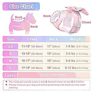PETCARE Cute Bow Tie Dog Harness and Leash Set Elegant Rainbow Gradient Puppy Harness No Pull Soft Mesh Pet Cat Dog Vest Harnesses for Small Dogs Cats, Pink