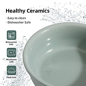 Havniva Ceramics Cat Bowl Adjustable Cat Food Bowl Kitty Bowl Raised Tilted Cat Bowl Cat Water Bowl Pet Supplies Slanted Elevated Cat Bowl (600ml, Light Green)