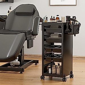 Paddie Salon Rolling Cart for Hair Stylist, 4 Organized Drawers, 2 Storage Baskets, Hairdryer & Tools Holder, Flexible Combination