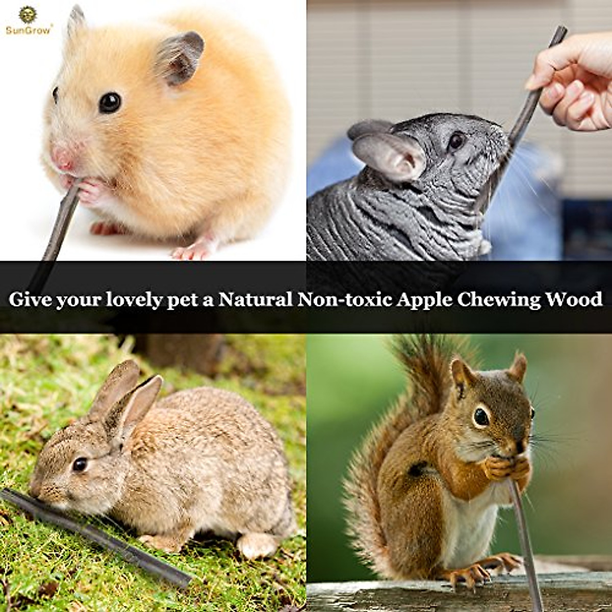 SunGrow Apple Sticks, 200g (7 oz) Wood Chew Sticks for Rabbits, Chinchillas, Bunny, Hamster, Squirrel, Guinea Pigs, 6" Small Animals Molar Pet Chew Toys Treat Sticks for Teeth Grinding, 40 Per Pack