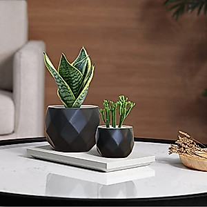 T4U Succulent Pots with Drainage Hole 3-Pack - Small Ceramic Succulent Planter for Tiny Cactus, Herb, Bonsai Plant, Mini Flower Pot for Indoor Home Office Living Room Decor (No Plants)