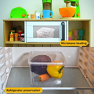 SHPii Square Clear Deli Containers with Lids, BPA-Free, Freezer and Microwave Safe Food Storage Containers, Reusable Airtight Containers, Meal Prep, Take-out, Restaurant Supplies.(10 pcs)