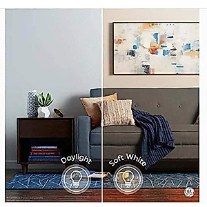 GE LED 90-Watt EQ LED Par38 Daylight Flood Light Bulb (12-Pack)