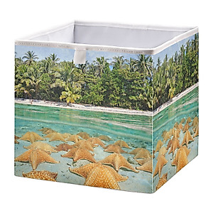 Kigai Storage Basket Tropical Palm Trees & Starfishes Foldable Storage Bin 11 X 11 X 11 Inches Cube Storage Baskets Box for Shelves Closet Laundry Nursery Bedroom Home Decor