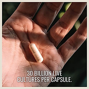 Nature's Way Fortify Daily Probiotic + Prebiotic for Men and Women, 30 Billion Live Cultures, Digestive and Immune Health Support* Supplement, 30 Capsules