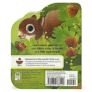 A Little Squirrel - An Animal-Shaped Children's Board Book, Ages 1-5