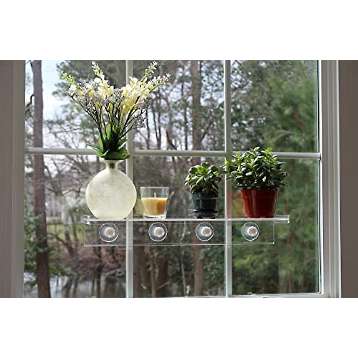LaBrinx Designs Extra Large Suction Cup Shelf - Live Plants, Windows, and Bathrooms