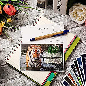 Zonon 60 Pieces Fun Facts Seasonal Landscapes Postcard Assorted Animal Fruits Scenic Spots Theme Postcards Funny Postcards for Kid Teacher, 4 x 6 Inches (Fun Facts)