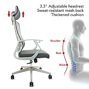 CLATINA Ergonomic High Swivel Executive Chair with Adjustable Height Fabric Headrest Lumbar Support and Mesh Backrest for Home Office, Grey 1 Pack