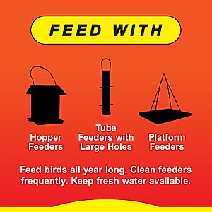 Wild Delight Sizzle N' Heat Bird Food, 5 lb