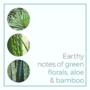 White Sage Smudge Candle for Cleansing House Negative Energy, Hand-Poured in USA, Perfect for Intention Setting, Meditation, Chakra Healing, Calm Anxiety