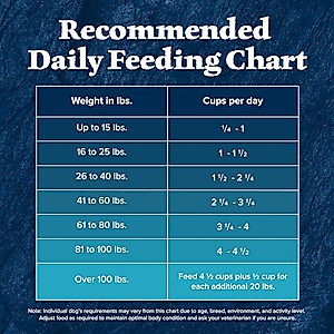 Blue Buffalo Wilderness Natural High-Protein Dry Food for Adult Dogs, with Wholesome Grains, Duck, 28-lb bag.
