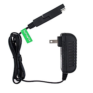 6V Replacement Charger Fit for Disney Quad Pacific Cycle Marvel The Avenger Good Dinosaur Princess Fairies Minnie Mouse Frozen CAR McQueen ATV 6V Battery Ride ON Walmart Target Toy R US