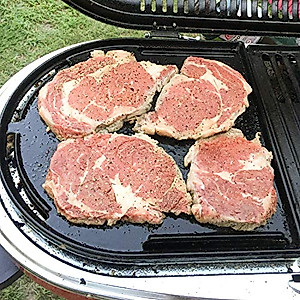 Hongso Matte Cast Iron Griddle for Coleman Roadtrip Swaptop Grill, Half Grill Griddle of Coleman Roadtrip Grill Accessories, Non-Stick Flat Cooking Pan, PCB011