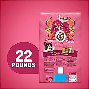 Purina Friskies Dry Cat Food, Gravy Swirlers - 22 lb. Bag