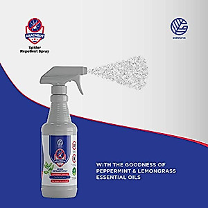 GERMOFIN - Natural Spider Repellent Peppermint Oil Spray - Spider Pest Control - Keeps Indoor & Outdoor Spiders Away- Safe for Pets & Family- House Essentials