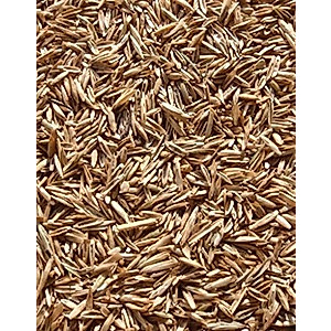 Annual Ryegrass Seeds for Planting - Premium Quality Rye Grass (1 Pound)