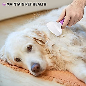 Poodle Pet Slicker Brush for Small and Large Dogs Pet Hair Remover | Effectively and Effortlessly Removes Tangles, Mats, and Loose Hair | for Short or Long Hair(Grooming Brush)