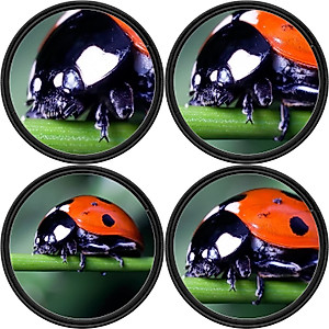 58mm Professional Macro & Lighting Filter Kit for Canon EOS Rebel T7, T6, T5, T3, T100, 4000D, 2000D, 3000D, 58 mm CPL + UV + FLD + 4 Piece Close Up Kit & 58 mm Lens Hood, 58mm Filter Bundle