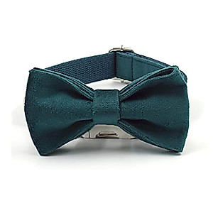 CXDTBH Dog Collar Engraved ID Personalized Pet Collar with Leash for Chihuahua Boy Dog Turquoise Velvet Dog Collar and Leash Set ( Color : E , Size : L )