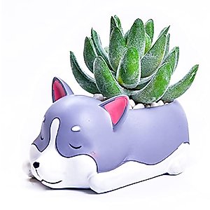 Cute Husky Puppy Flower Pot with Drainer Garden Flower Pot Resin Succulent Potted Bonsai Plant Stand Home Desk Mini Ornaments Balcony Gardening Flower Pot Does Not Contain Plants