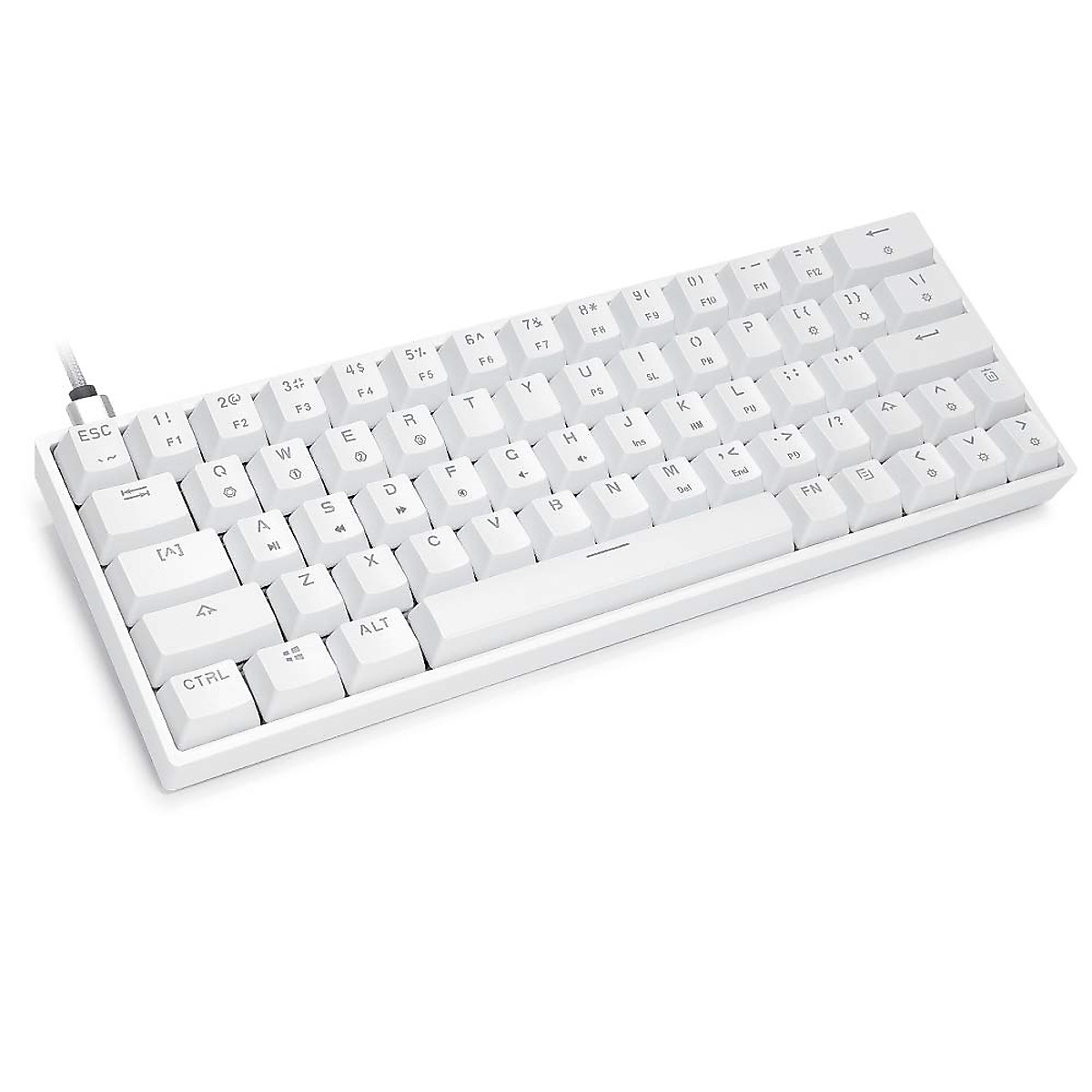 SK64 64 Tasti Hot Swap Tastiera Meccanica Cablata con RGB Retroilluminato ABS Tasti Freccia Tasti Impermeabile Programmabile per Win/Mac/Gaming (Gateron Ottico Marrone, Custodia Bianco)