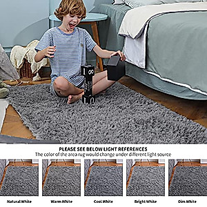 BAYKA Machine Washable Fluffy Area Rug Indoor Ultra Soft Shag Area Rug for Bedroom, Non-Slip Floor Carpet for Kids Home Decor Nursery Rug 3x5 Grey