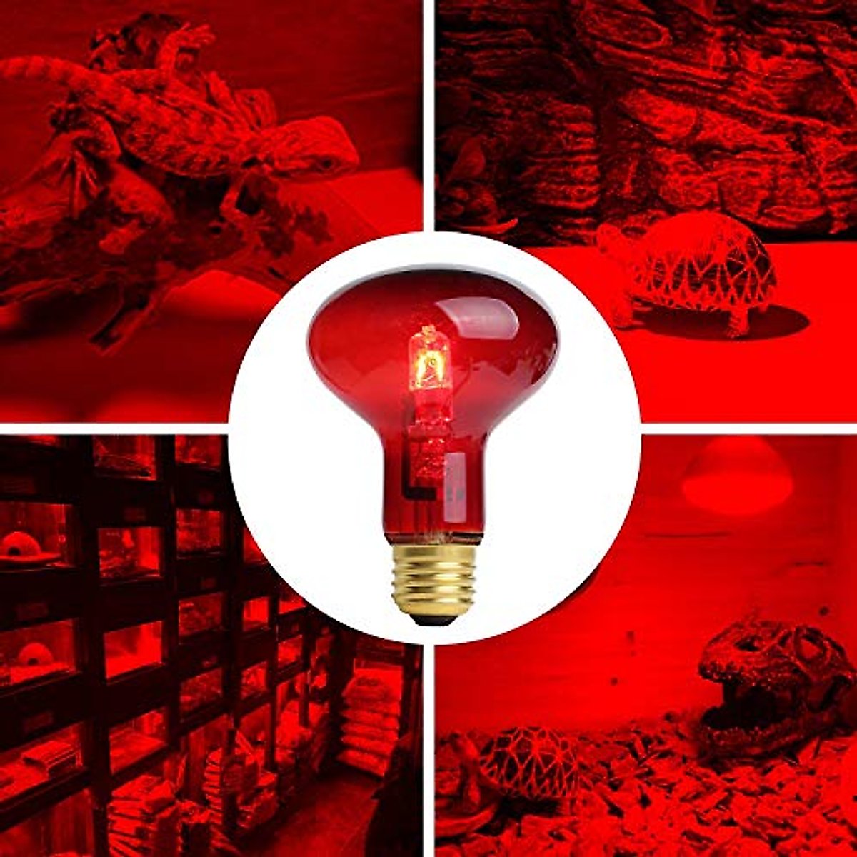 FIVEAGE 75W Red Heat Light Reptile Heat Lamp Infrared Bulb UVA Basking Spot Bulb for Reptile and Amphibian Use - Bearded Dragons Lizard Tortoise Snake Chameleon 2 Pack