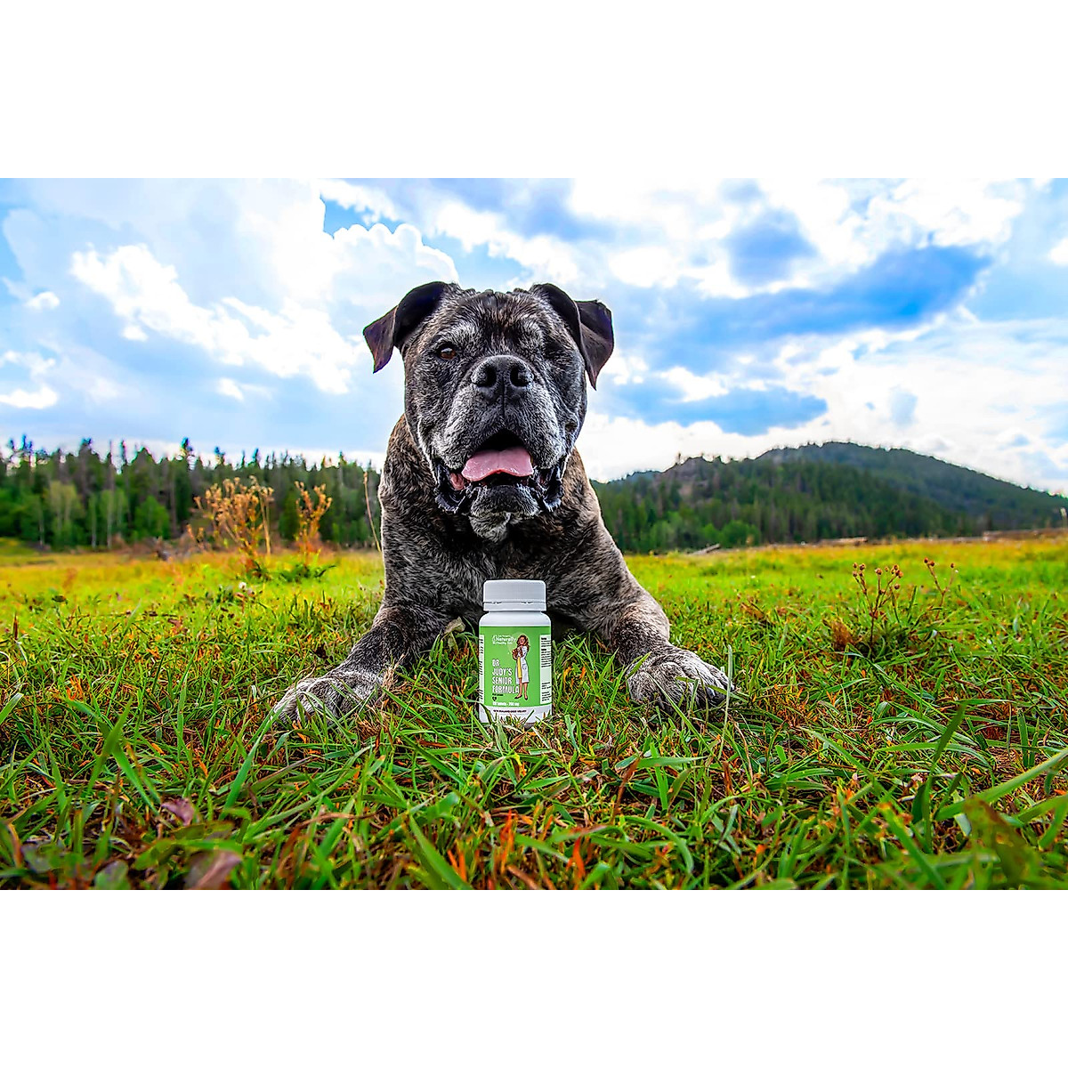 New Zealand Deer Velvet Senior Formula for Dogs