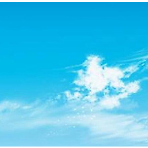 Bonsai Tools Trees Branch Modulator Trunk Lopped Regulator Garden Home Shears