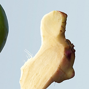 Hugo Boss BOTTLED TONIC Eau de Toilette, 1.6 Fl Oz