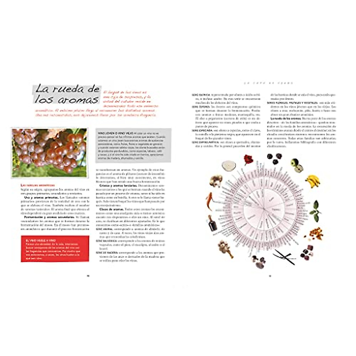 La cata de vinos: Guía completa para conocer y degustar los vinos (Edición actua lizada) 2021 / Wine Tasting (Spanish Edition)