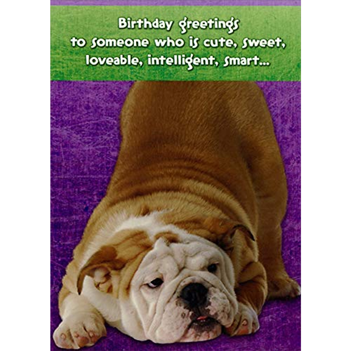 Designer Greetings Cute, Sweet, Loveable, Intelligent, Smart Bulldog Funny : Humorous Dog Birthday Card