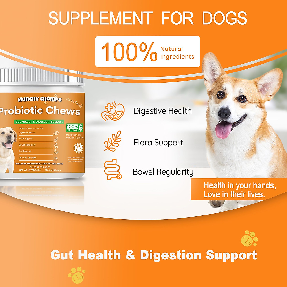 Munchy Chomps Probiotics Chews for Dogs - Gut Health & Digestion Support with PreforPro & Bacillus Subtilis - Promotes Bowel Regularity & Immune Strength (Chicken)