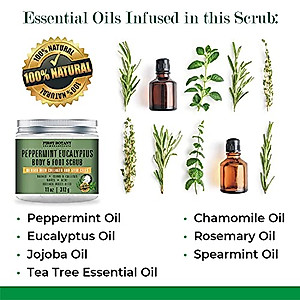 First Botany Body Scrub - Natural Exfoliating Salt Scrub & Body and Face Souffle helps with Moisturizing Skin, Acne, Cellulite, Dead Skin Scars, Wrinkles (10 fl oz, Lavender)