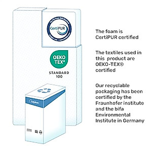 Dailydream viscoelastic Mattress Topper with Memory Foam, Edition Aloe Vera (Queen, Model L - 220 up to 264 lbs)