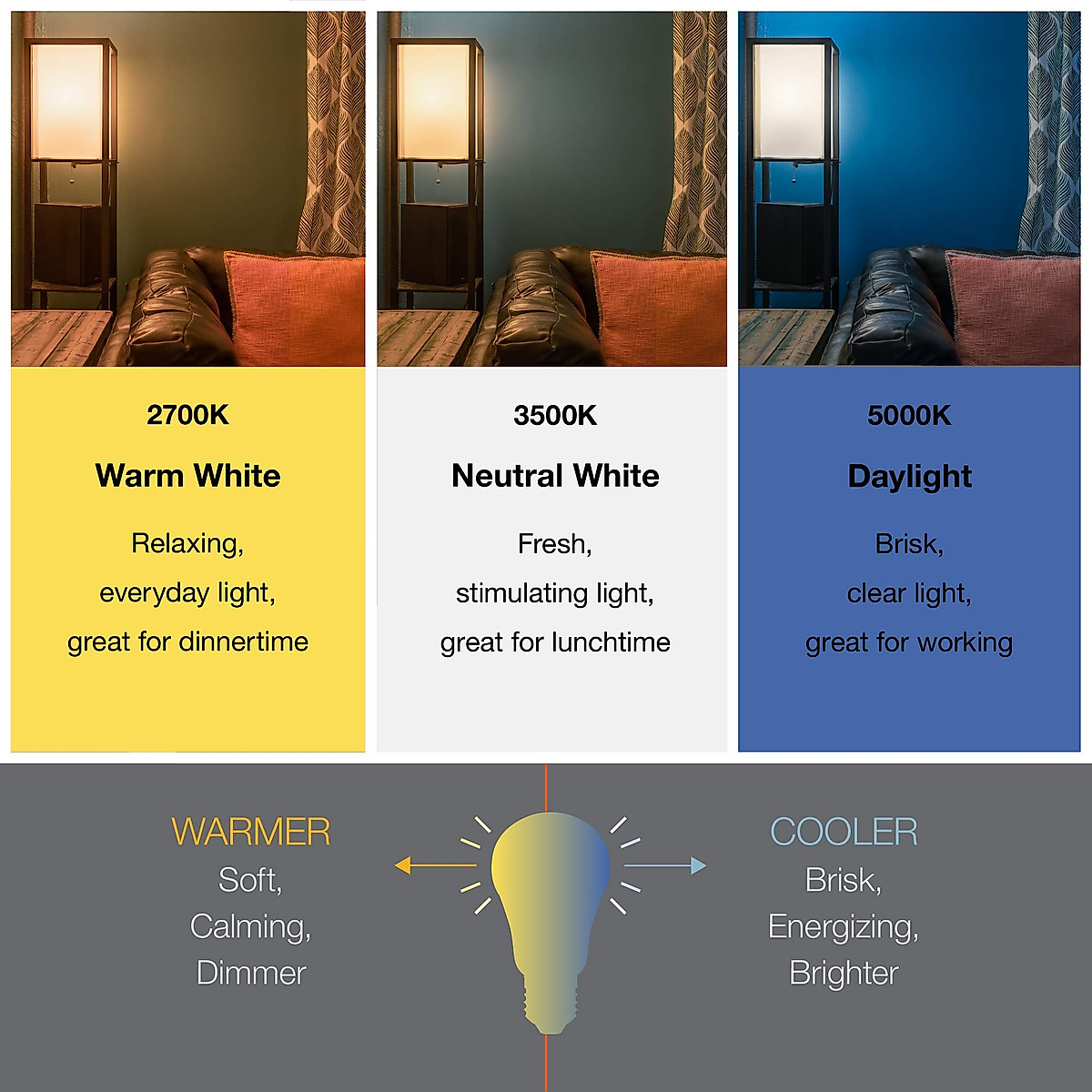 Sylvania LED R20 Flood Light Bulb, 50W = 5W, 10 Year, Dimmable, Frosted Finish, 325 Lumens, 5000K, Daylight - 2 Pack (73991), Cool White