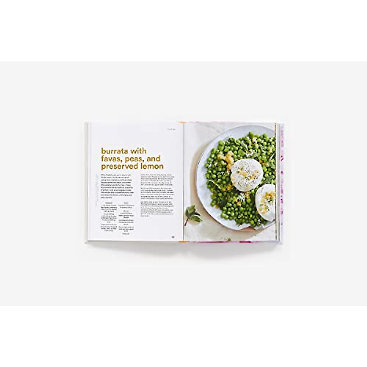 Salad Freak: Recipes to Feed a Healthy Obsession
