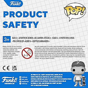 Funko Pop! Star Wars: The Mandalorian - The Child with Necklace Vinyl Figure, Fall Convention Exclusive Action Figure