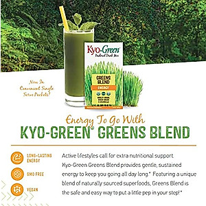 Kyo-Green Green Blends Energy Powered Drink Mix, 10 Ounce Bottle