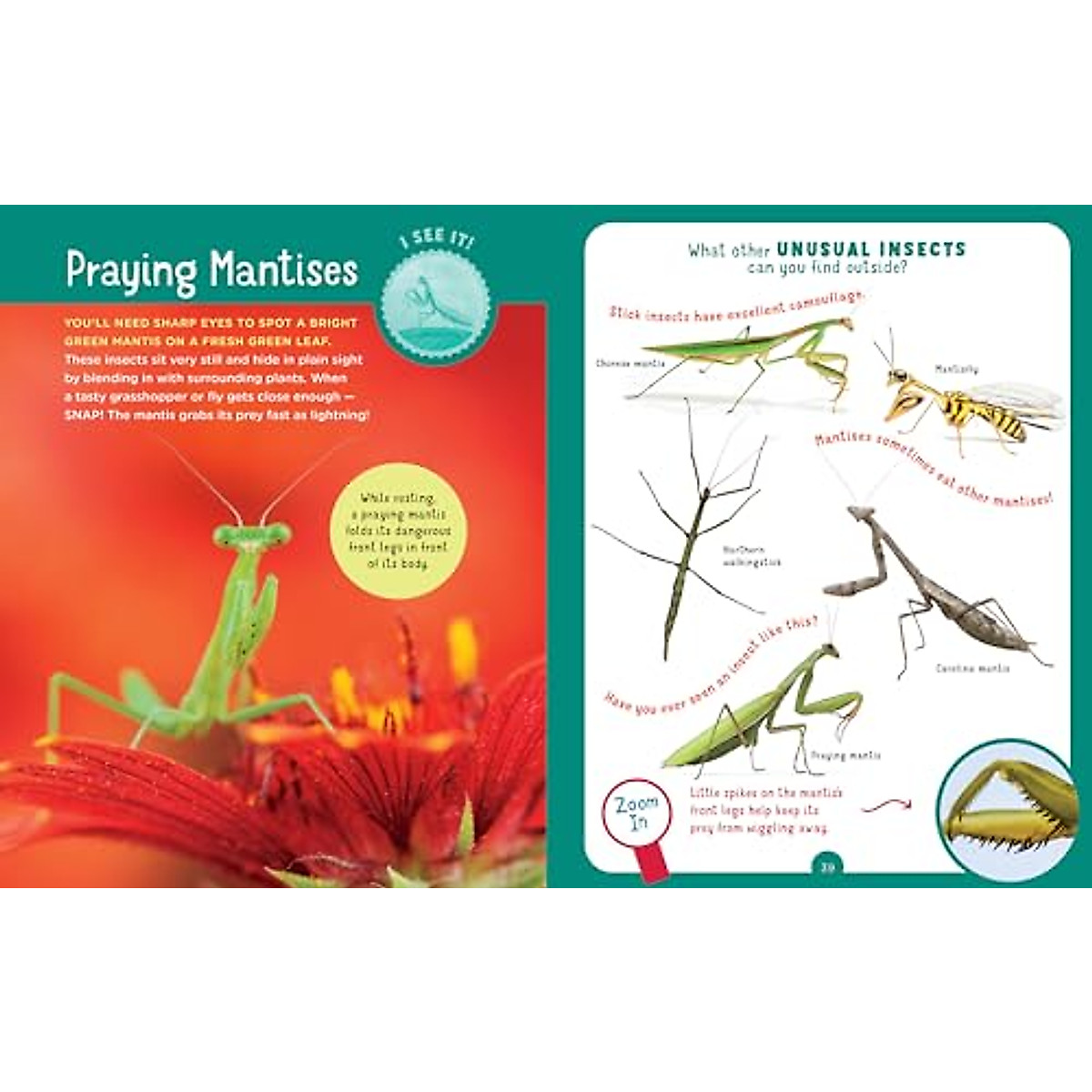 Backpack Explorer: Bug Hunt: What Will You Find?