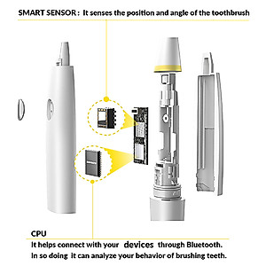 BRUSHMONSTER Smart Toothbrush for Kids Bluetooth Connected Electric Sonic Toothbrush (Toothbrush)